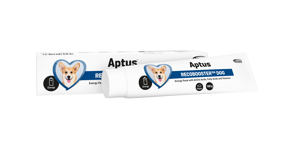 Kjøp Aptus RecoBooster Dog på Med24.no